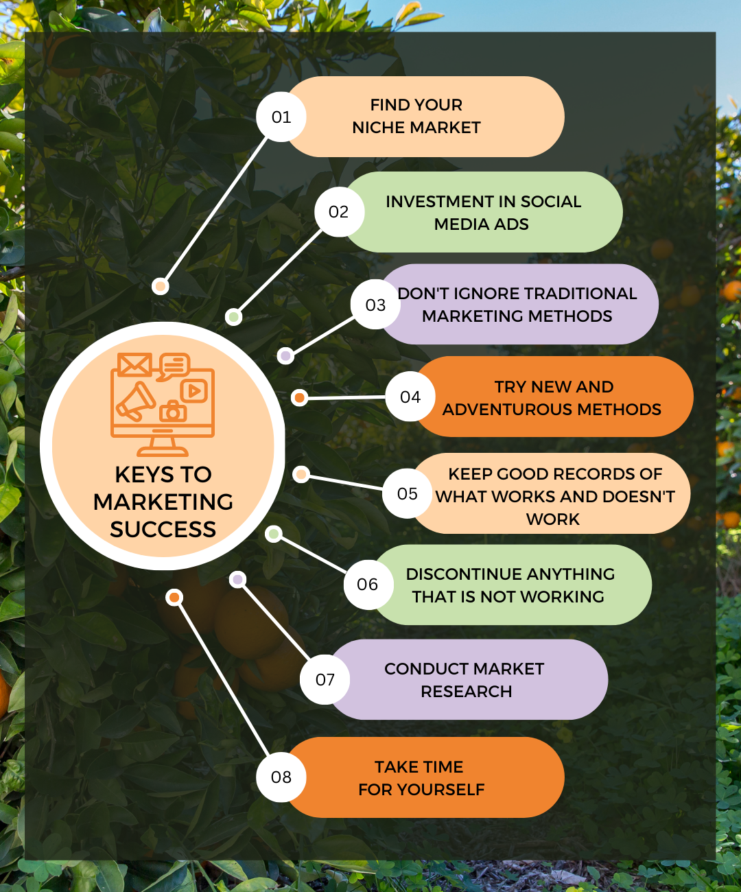 Changing Landscapes: Remaining Relevant during Algorithm Shifts ...
